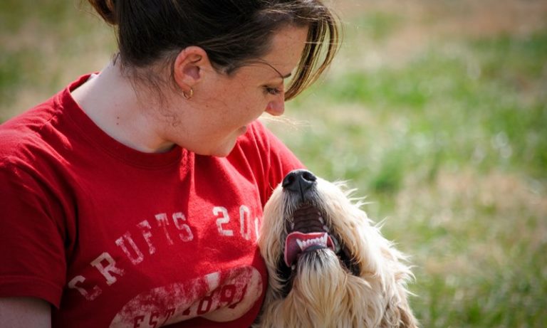 School for Dog Trainers | Highland Canine Training