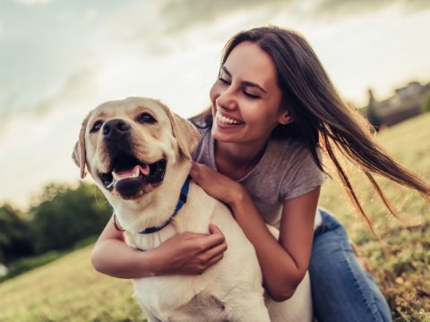 Dog Trainer Careers & Jobs | Highland Canine Training