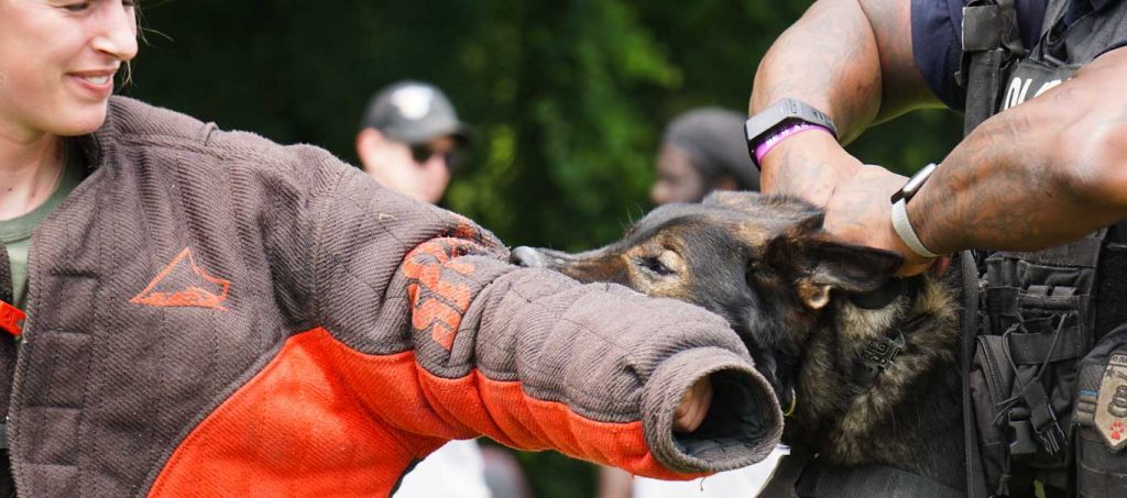 Train Like A Girl: How Women Are Revolutionizing The Working Dog ...