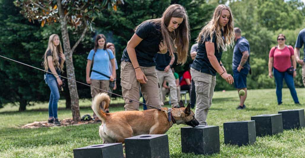 Train Like A Girl: How Women Are Revolutionizing The Working Dog ...