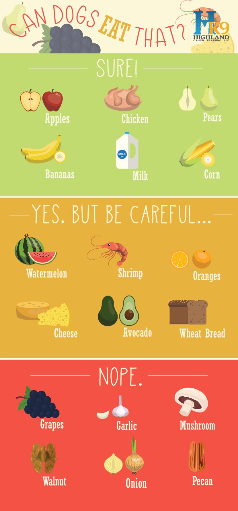 What Can't Dogs Eat? The Ultimate List | Highland Canine Training