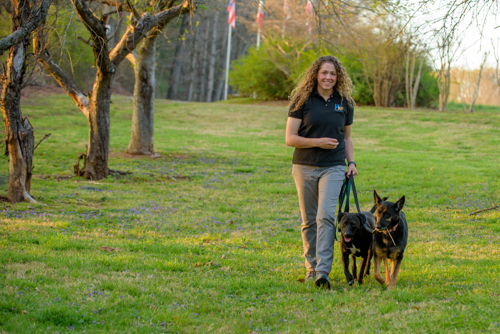 Blog and Dog Training Tips | Highland Canine Training