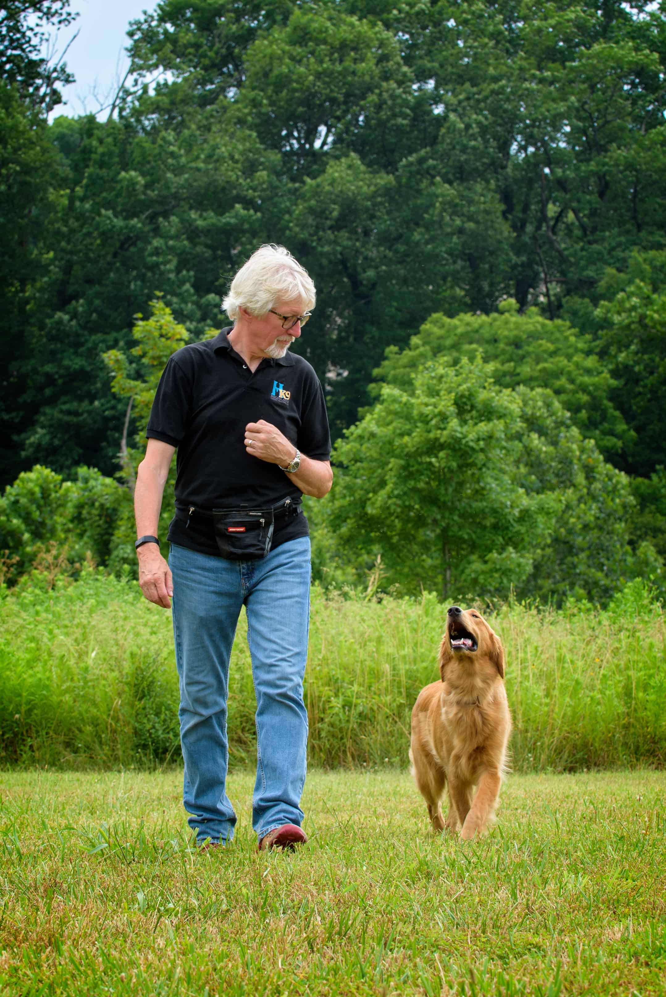 Dog Training Roanoke VA | Highland Canine Training
