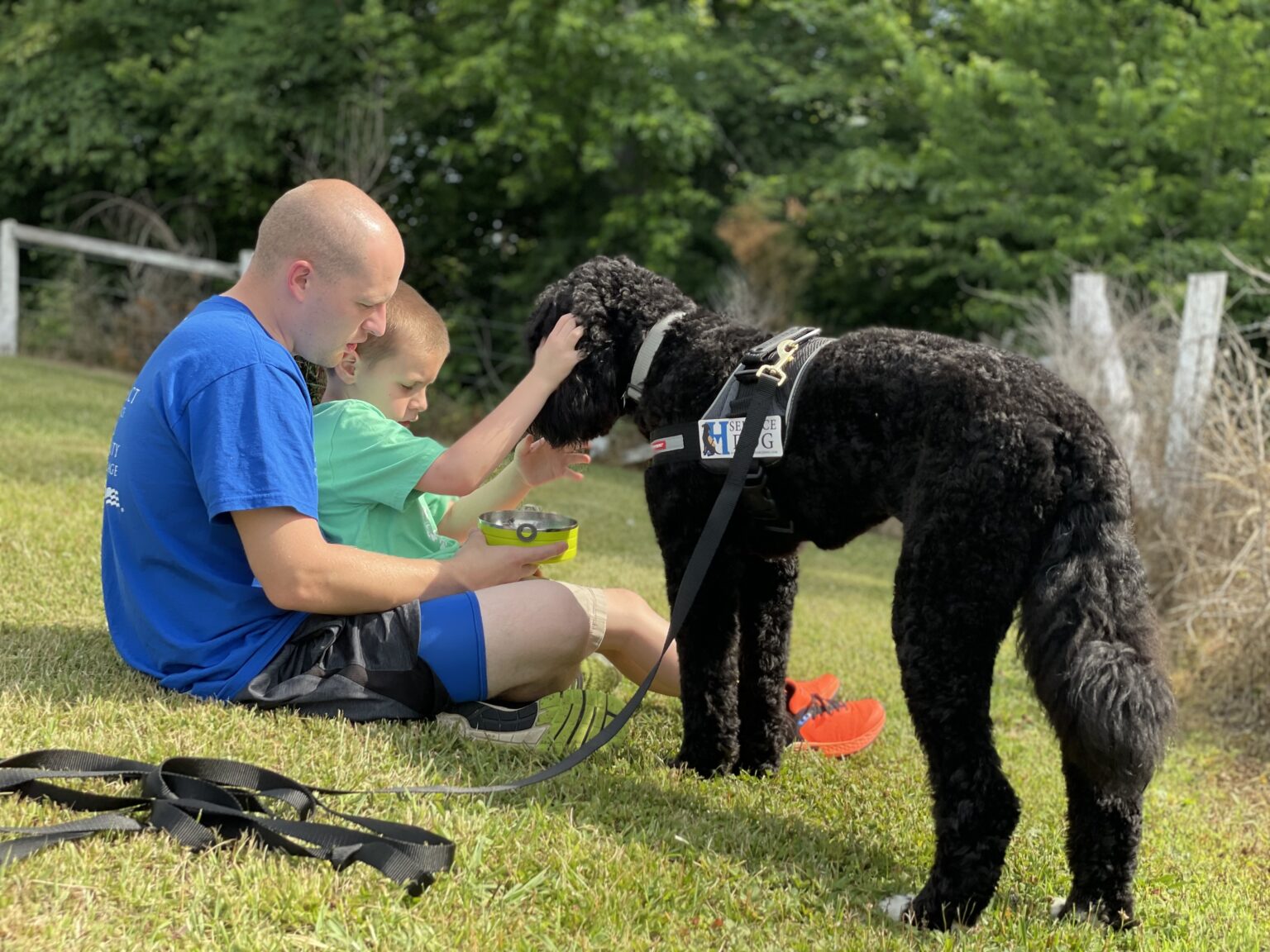 Celebrating The Incredible Work Of Service Dogs | Highland Canine Training