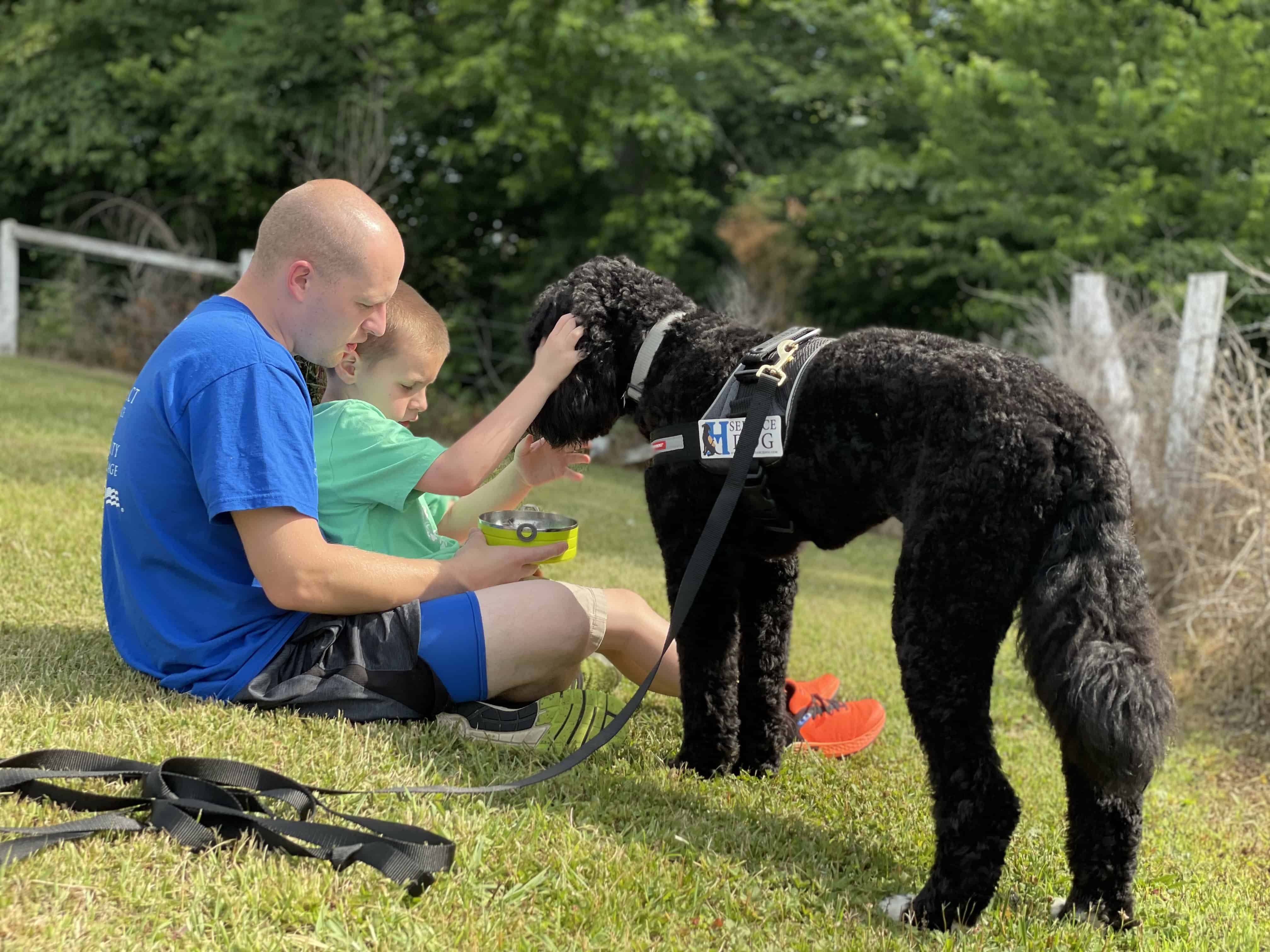Celebrating The Incredible Work Of Service Dogs | Highland Canine Training