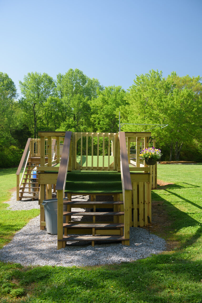 Dock Diving Group Class | Highland Canine Training