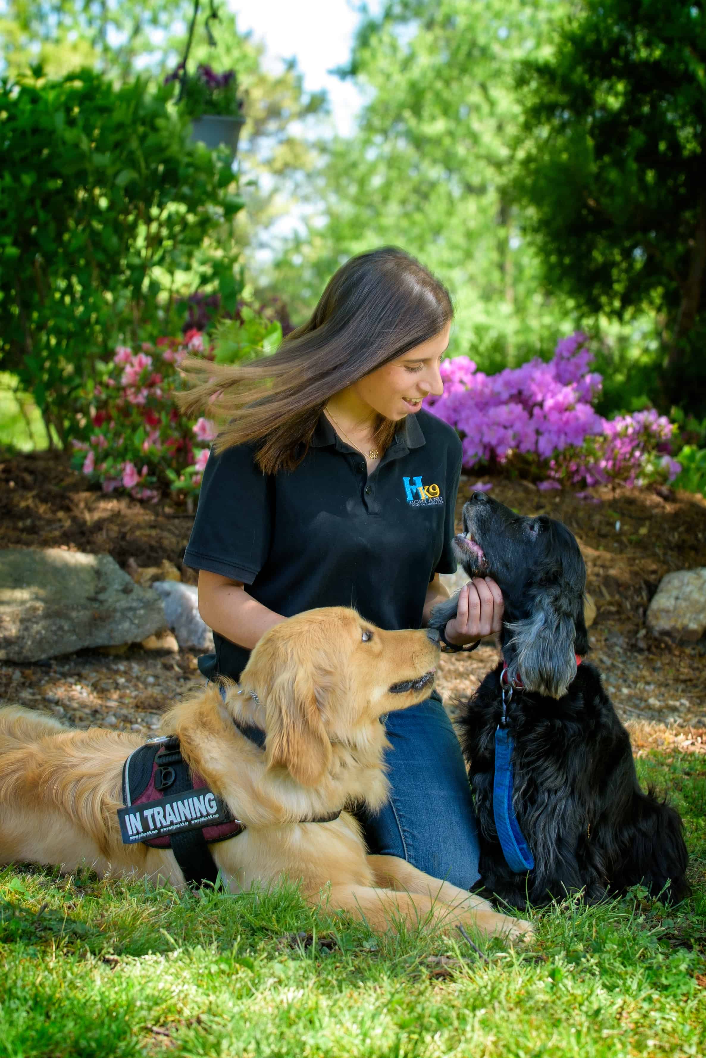 "All Dogs Need A Purpose": Our Mérida Dog Trainer Explains Her Journey ...