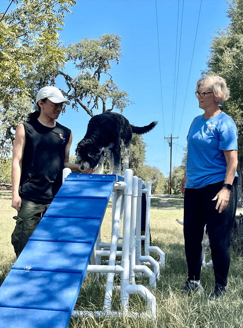 Featured Location: San Antonio, TX | Highland Canine Training