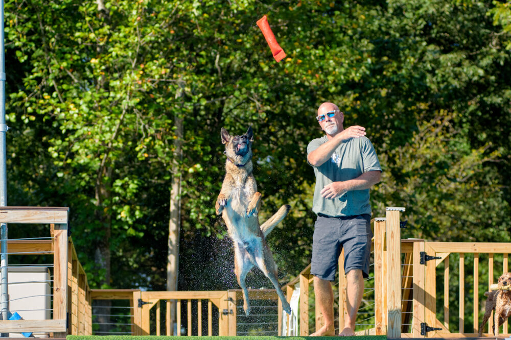 Group Class Dog Training | Highland Canine Training