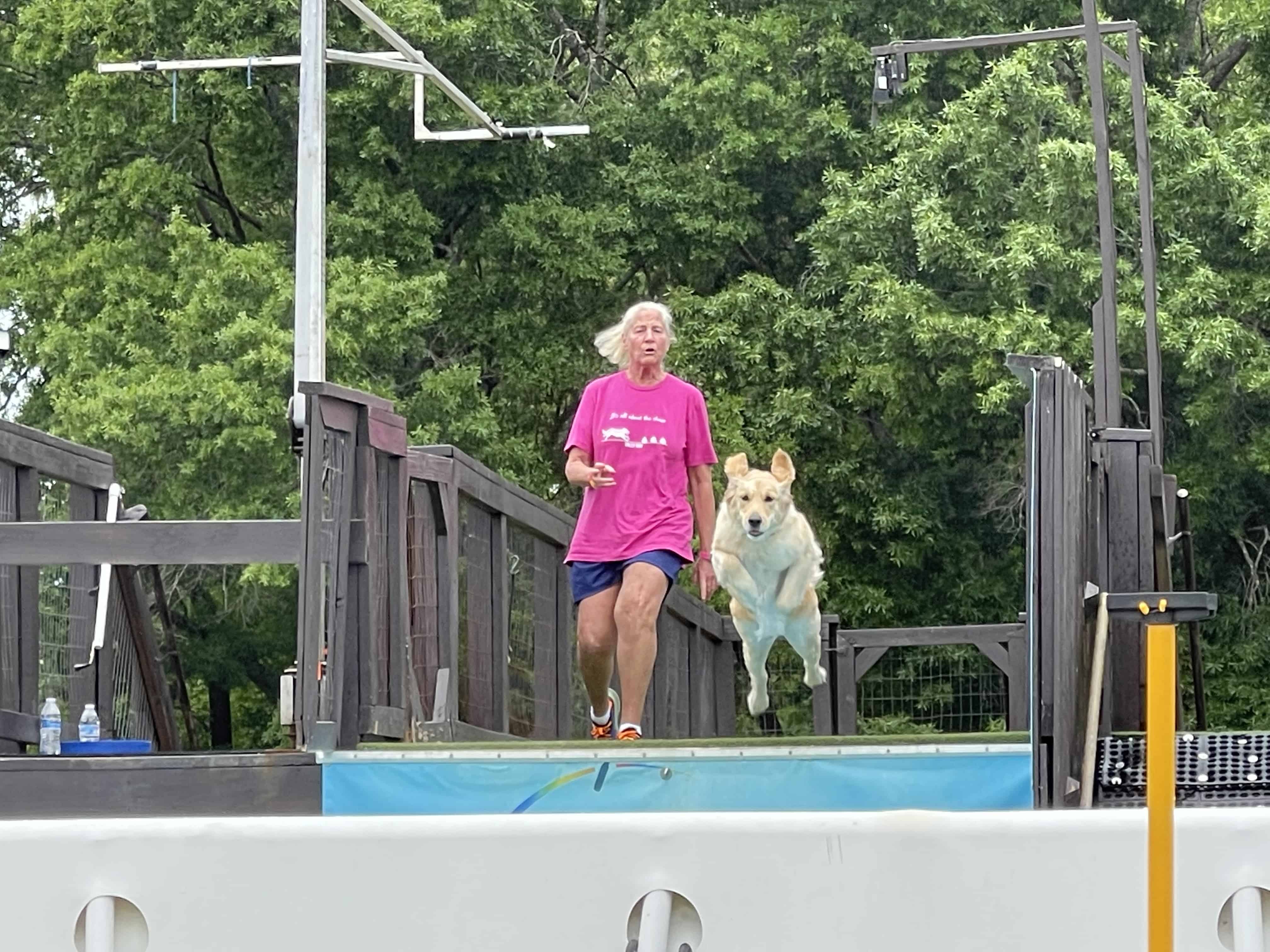 The Benefits of Dock Diving For Your Dog | Highland Canine Training