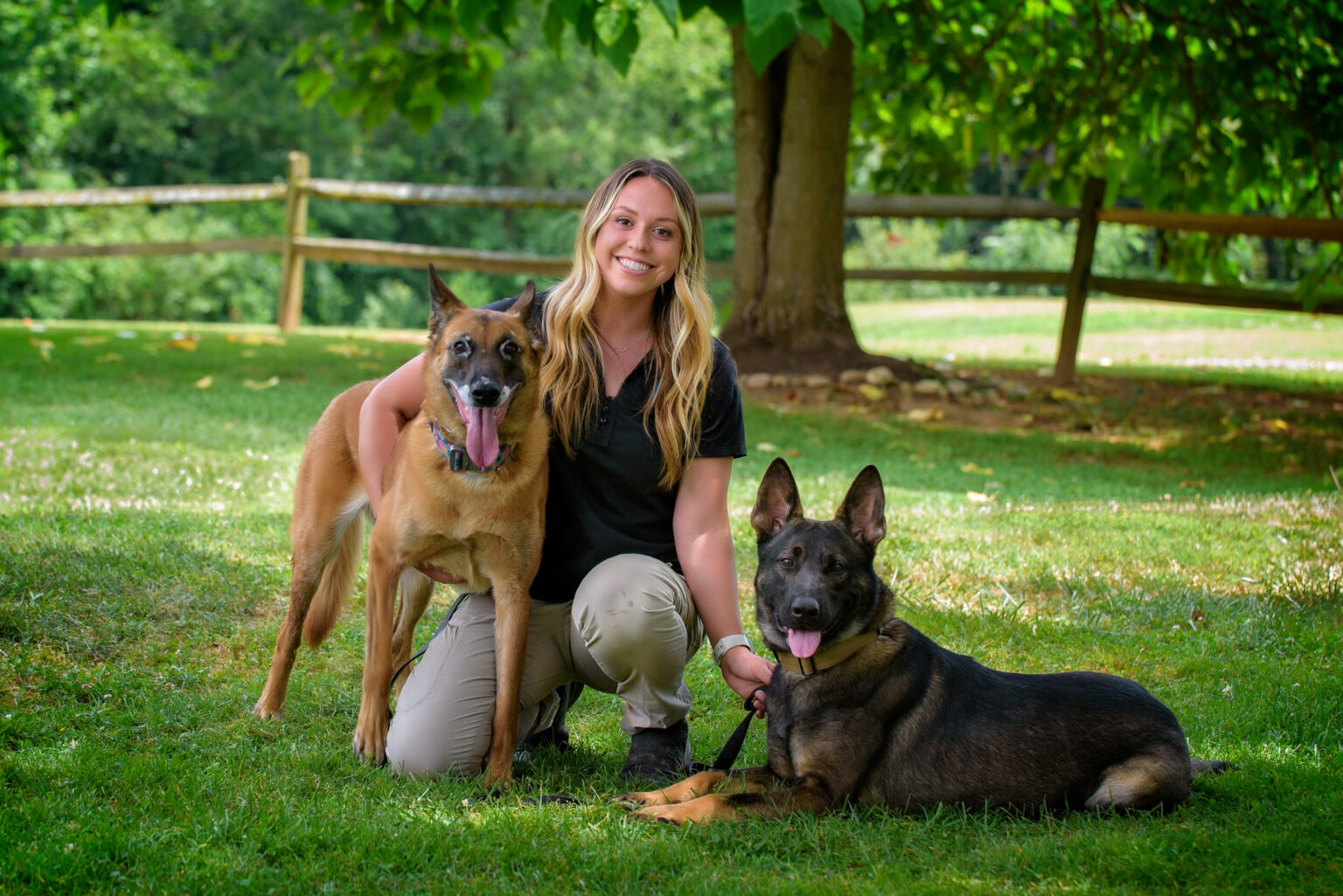 Blog and Dog Training Tips | Highland Canine Training