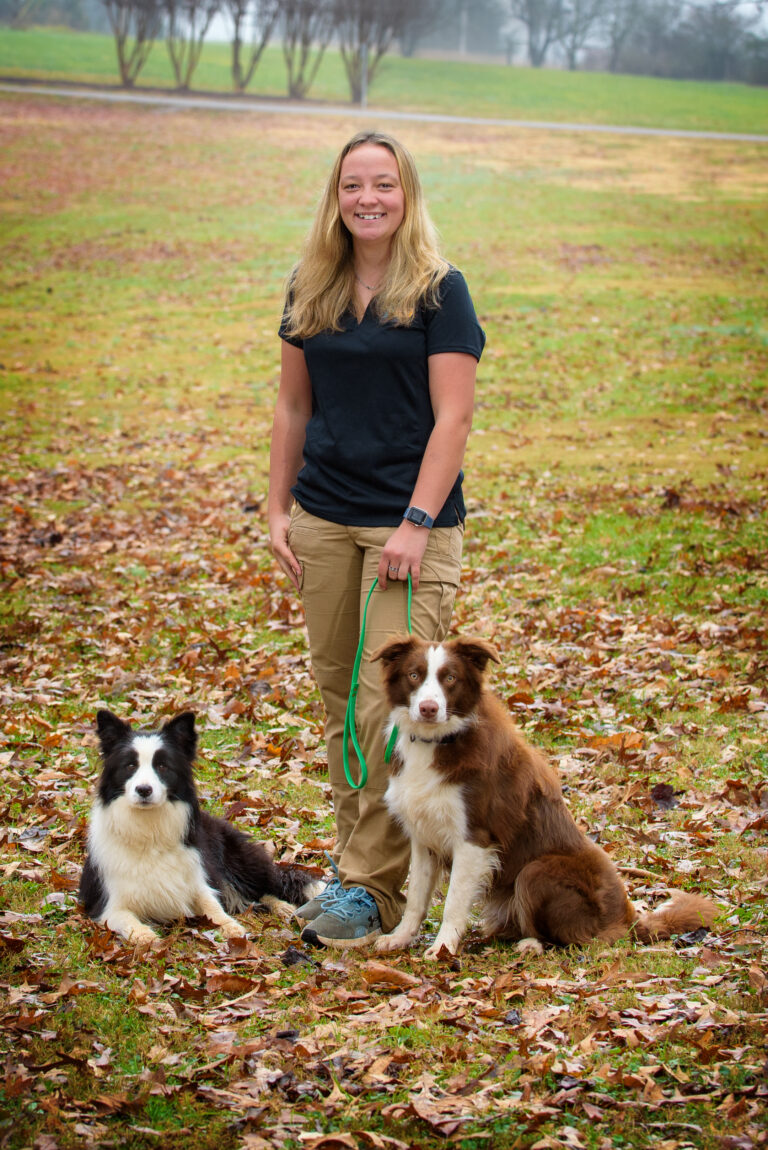 Dog Training Rifle, CO | Highland Canine Training