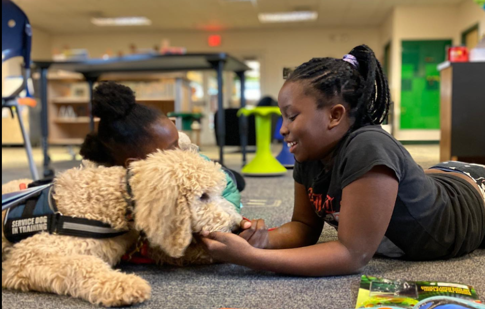 The Ultimate Guide to Fast CAT | Highland Canine Training