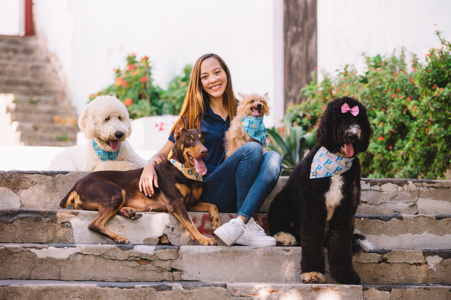 What Our Dog Trainers Learned In 2025 | Highland Canine Training