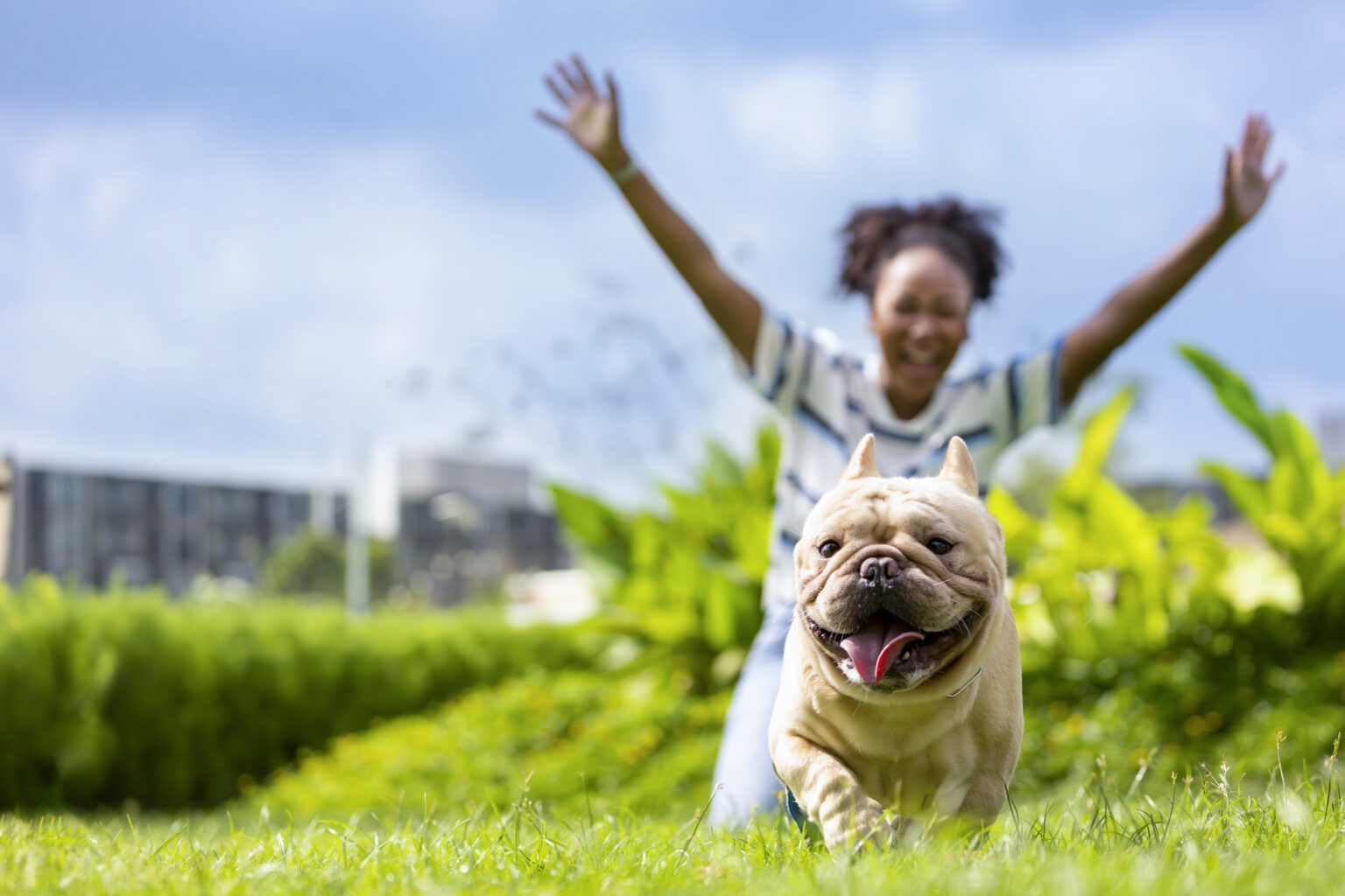 What Is LIMA Dog Training? | Highland Canine Training