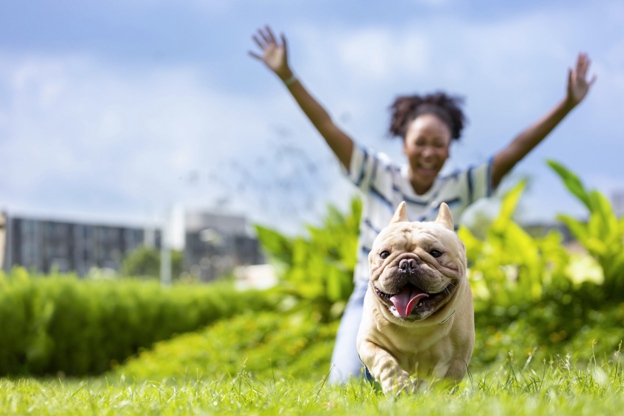 What Is LIMA Dog Training? | Highland Canine Training